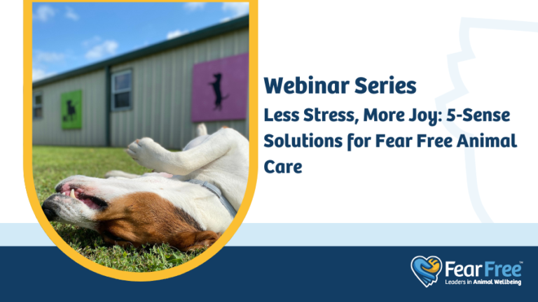 Less Stress, More Joy: 5-Sense Solutions for Fear Free Animal Care ...