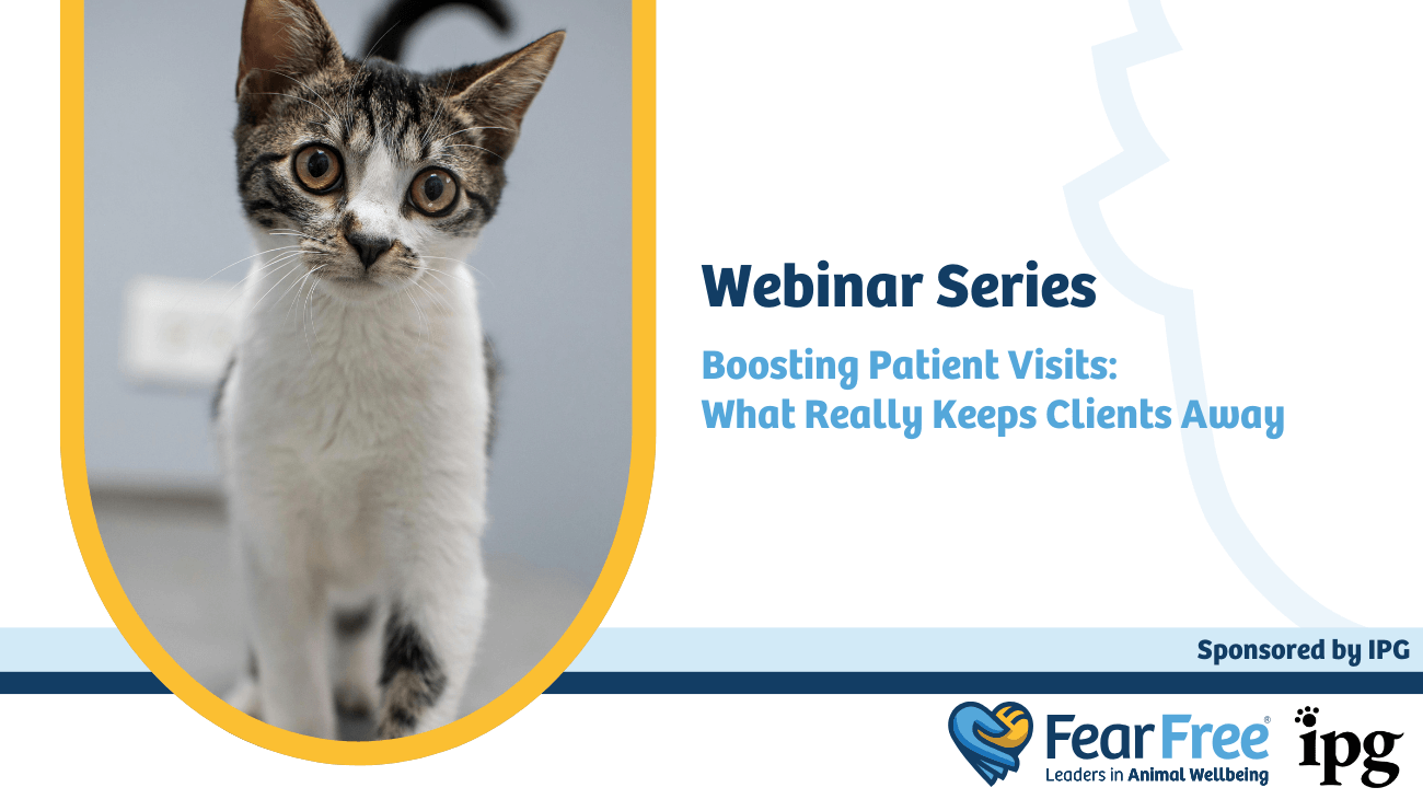 Boosting Patient Visits: What Really Keeps Clients Away - Fear Free